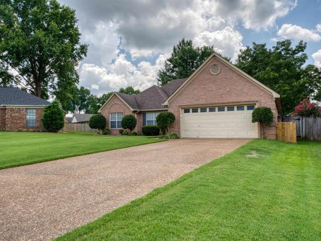 3397 mowrey cv