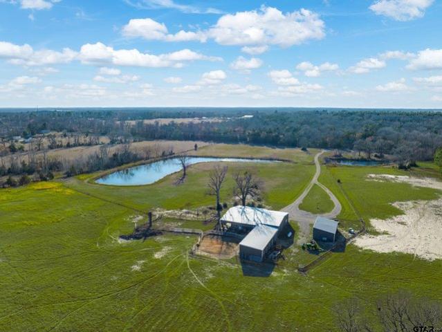 3397 Vz County Road 4412, Ben Wheeler, TX 75754