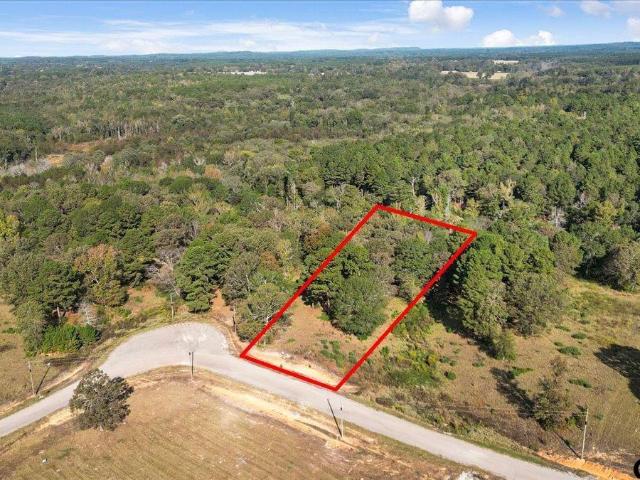 3398 Big Sandy Tx 75755, Lot 32, Big Sandy, TX 75755 | MLS #25015