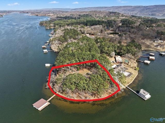 3398 Lakeshore Dr, Scottsboro, AL 35769
