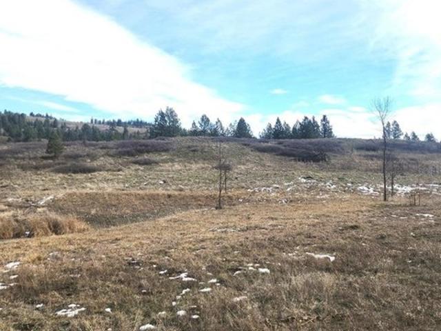 3390 F & G Spirit Ridge Way, Rice, WA 99167