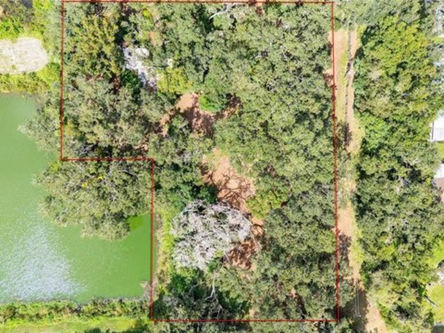 33933 Brumwell Dr, Wesley Chapel, FL 33543
