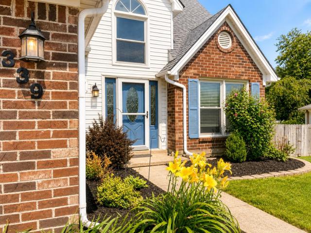 339 Chestnut Lane