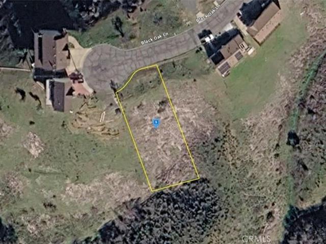 339 Black Oak Ln, Napa, CA 94558