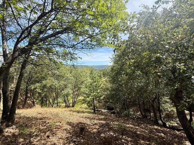 339 Snowberry Ct, Murphys, CA 95247