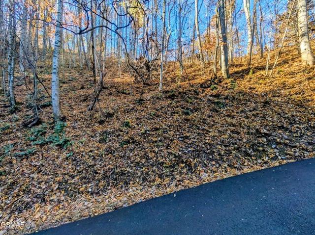 339 Ridgefield Dr, Sevierville, TN 37876
