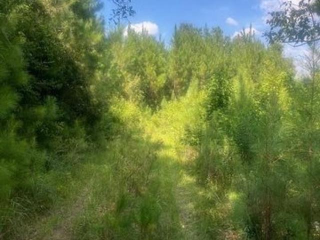 37.42 Ac Highway 98, Lucedale, MS 39452