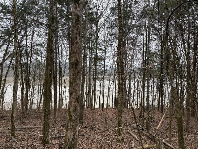 37.88 Ac Cook Ln