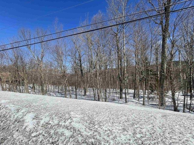 37 075 E Mountain Rd Lot 10, Killington, VT 05751