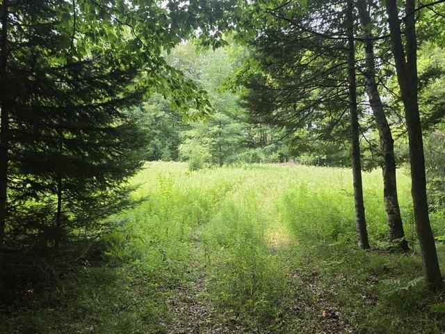 37.30 Acres Old Rail Rd, Wausaukee, WI 54177