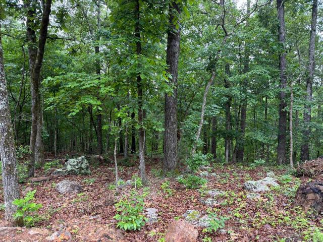 37 Tall Pine Circle