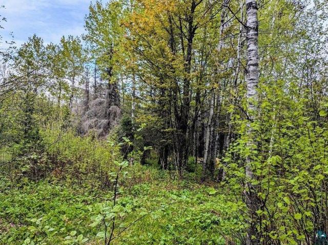 37 W Lismore Rd, Duluth, MN 55803
