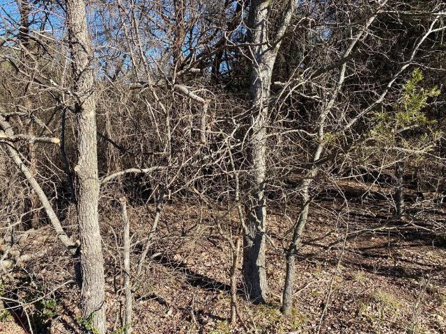37 ac Clb Lk Ln, Whitesboro, TX 76273 | MLS #20736 | Compass