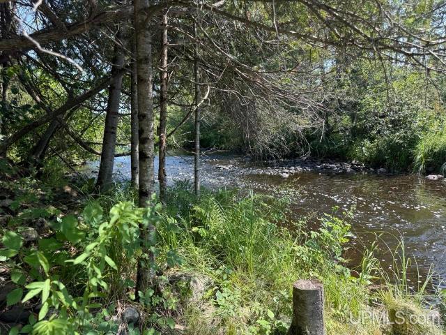 37 Acres W Townline Road