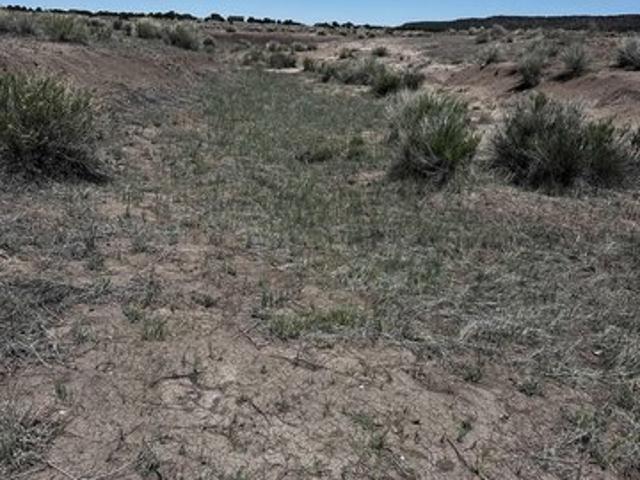 37 Airport Rd, Quemado, NM 87829