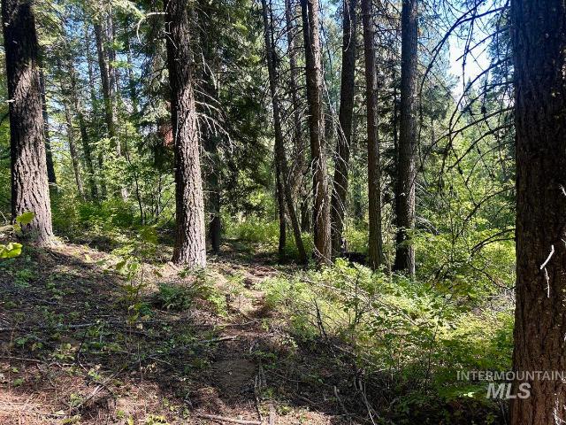 37 Arling Trail