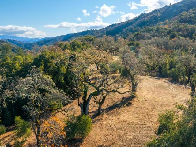 37 Arroyo Sequoia Lot 113