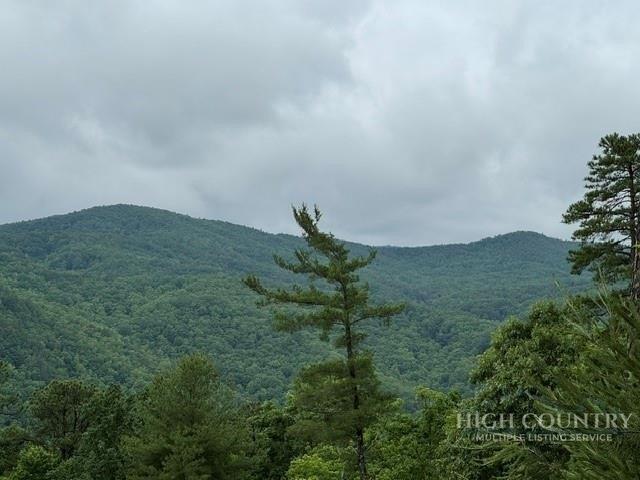 37 Big Sky Road, Ferguson, NC 28624