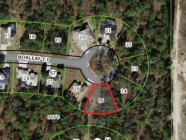 37 Boxleaf Ct, Homosassa, FL 34446