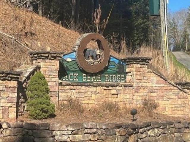 37 Black Bear Ridge Road