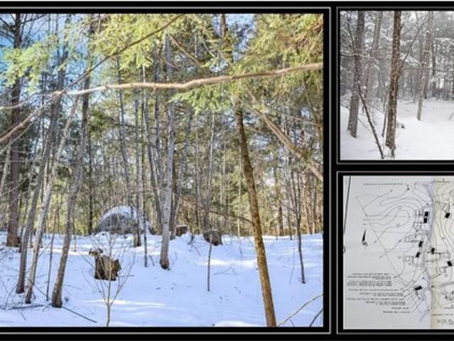 37 Carriage Knolls Rd, Chestertown, NY 12817