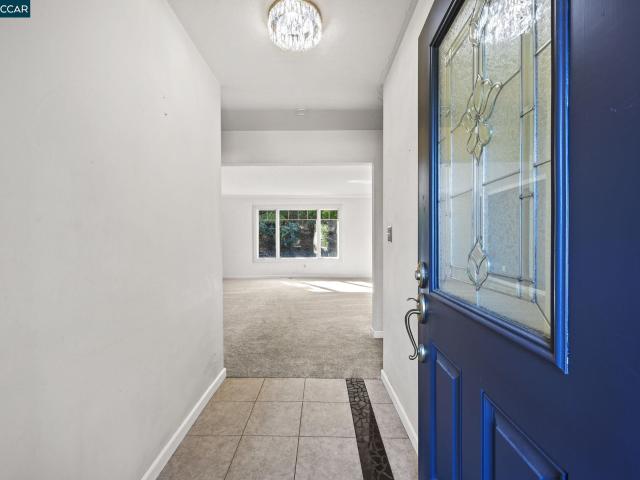 37 Cornell Ct