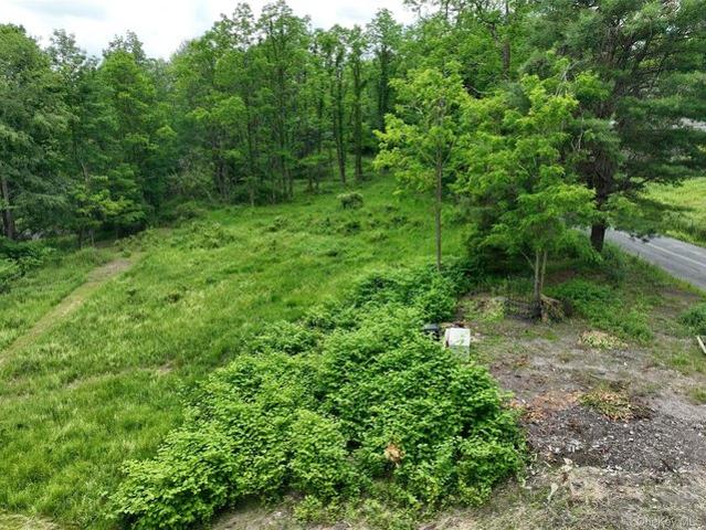 37 Cranberry Rd, Greenfield Park, NY 12435