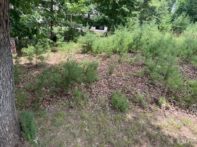 37 Ct Lot Waterview, Gretna, VA 24557