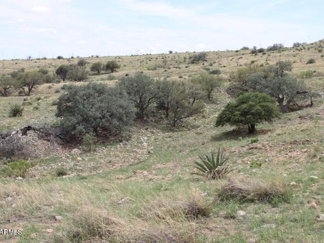 37 E Desperado Dr, Unit 20, Hereford, AZ 85615 | MLS #7012