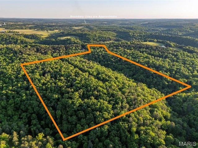 37 Forrest Dr, Houston, MO 65483