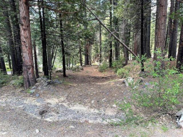 37 Iroquois Drive, Camp Connell, CA 95223 643336408