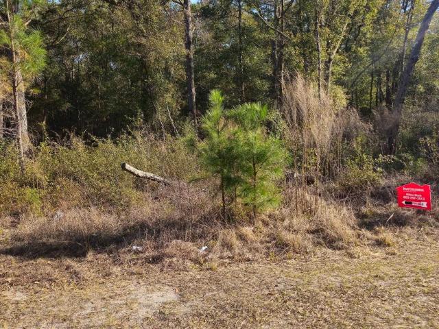 37 Levant Byas Road Lot 25