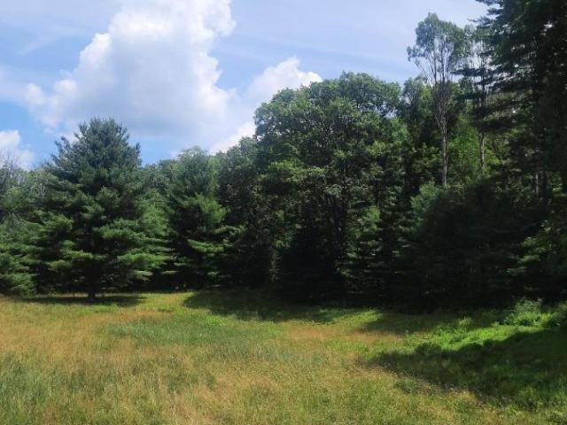 37 New Mashipacong Rd, Montague, NJ 07827 | MLS #3993