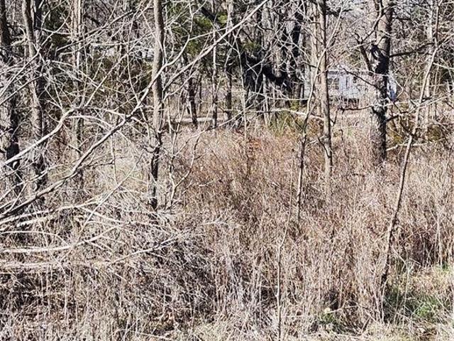 37 Oakdale Ct, Linn Valley, KS 66040 | MLS #2608