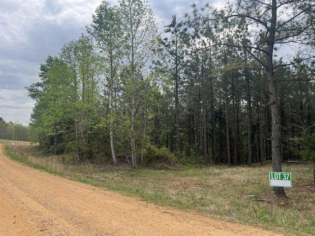 37 Pafford Ln, Erin, TN 37061