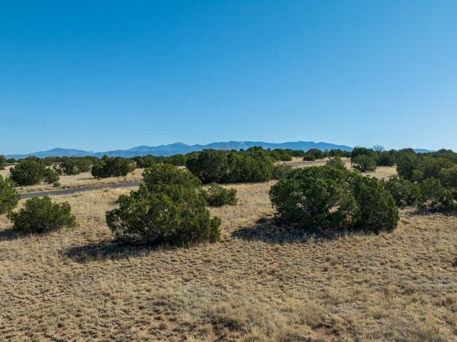 37 Picacho Peak Drive