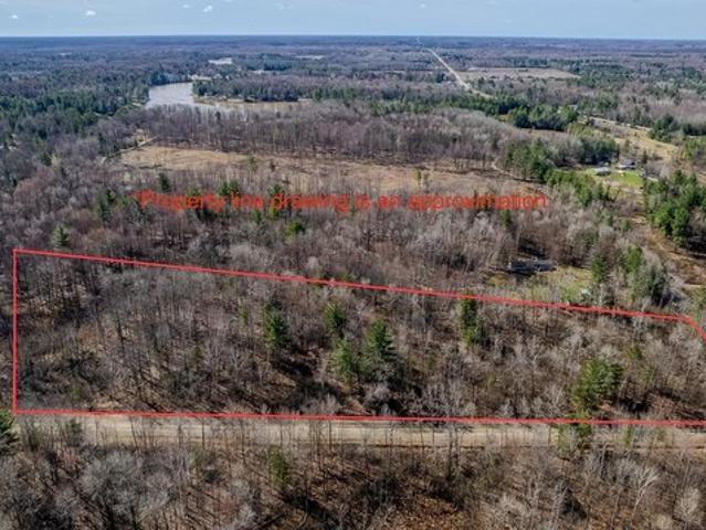 37 Rivers Rd, Gladwin, MI 48624