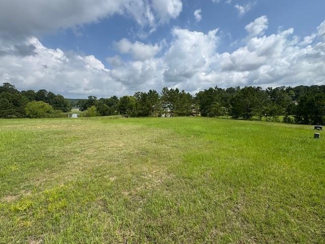 37 Silver Lakes Dr, Huntsville, TX 77340 | MLS #46037