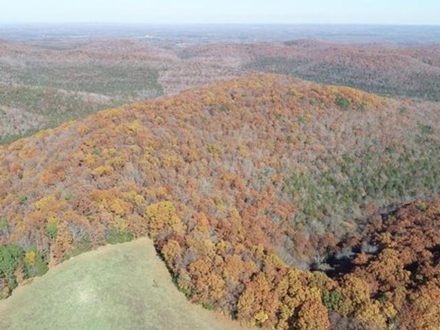 3405 State Highway JJ, Branson, MO 65672