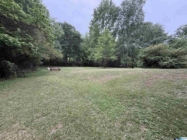 3409 Valley St, Guntersville, AL 35976