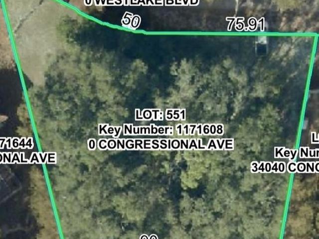 34036 Congressional Ave, Dade City, FL 33523