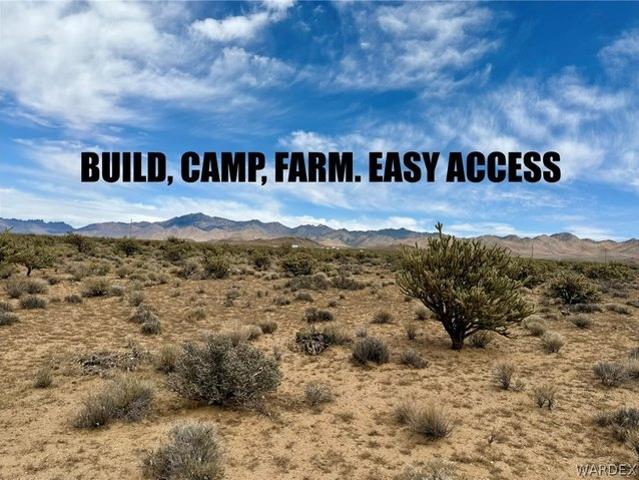340 16 Cedar Rd, Dolan Springs, AZ 86441