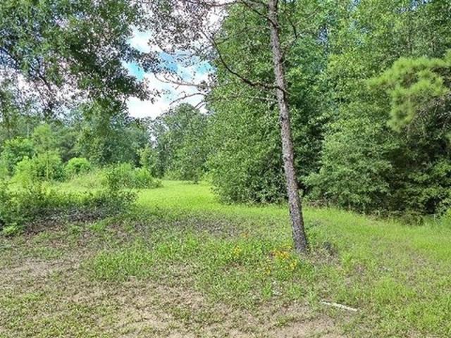 340 Adrian Guidry Rd, Longville, LA 70652