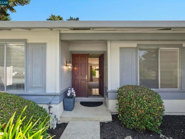 340 Borica Dr