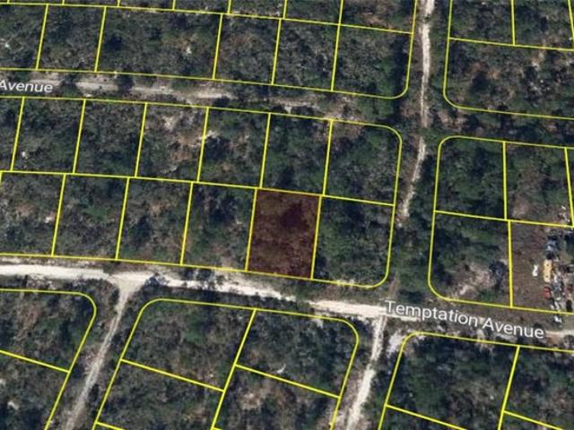340 Hossler Ave, Lake Placid, FL 33852