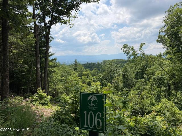 340 Lazy Country Cove Road