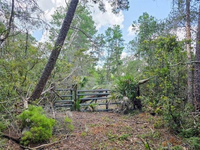 340 Sand Pine Pl, Geneva, FL 32732
