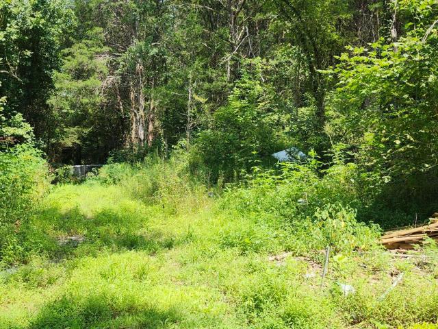 340 Swadis Drive