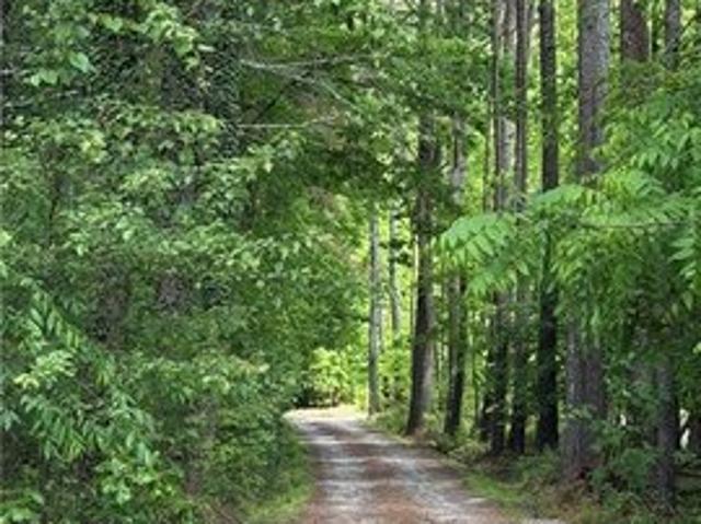 340 Wash Wilson Loop, Blue Ridge, GA 30513