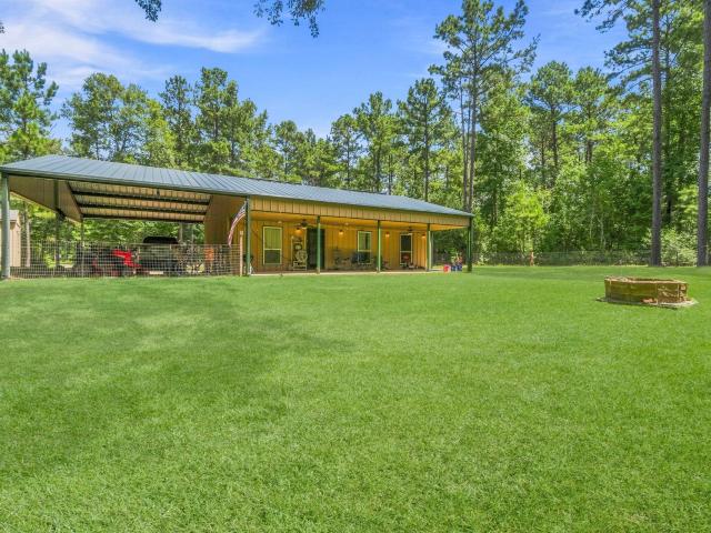 340 Tree Monkey Road